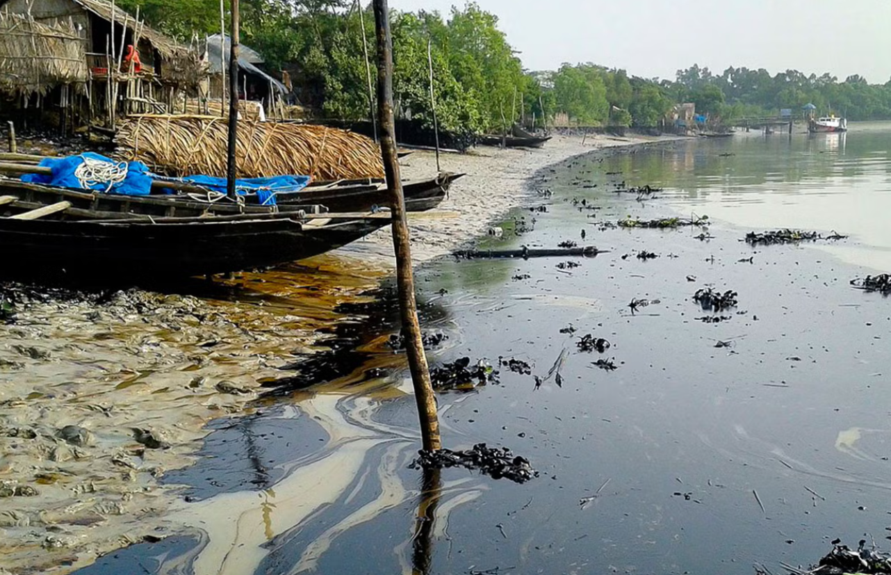 Assessing the Impact of the Sundarbans Oil Spill – STW Environmental